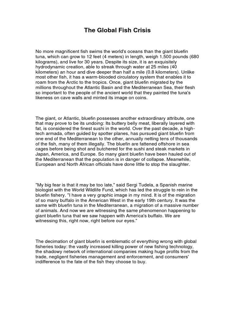 The Global Fish Crisis | PDF | Tuna | Fish