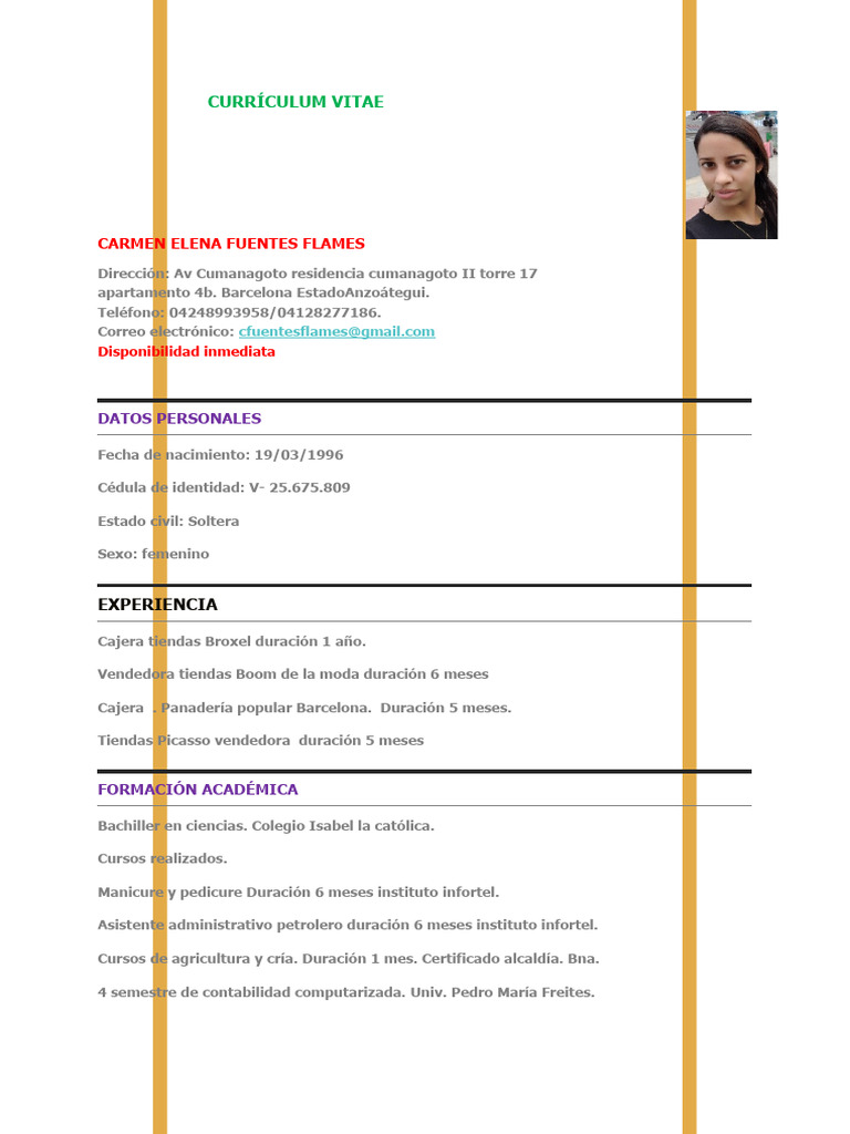 currículum Carmen | PDF