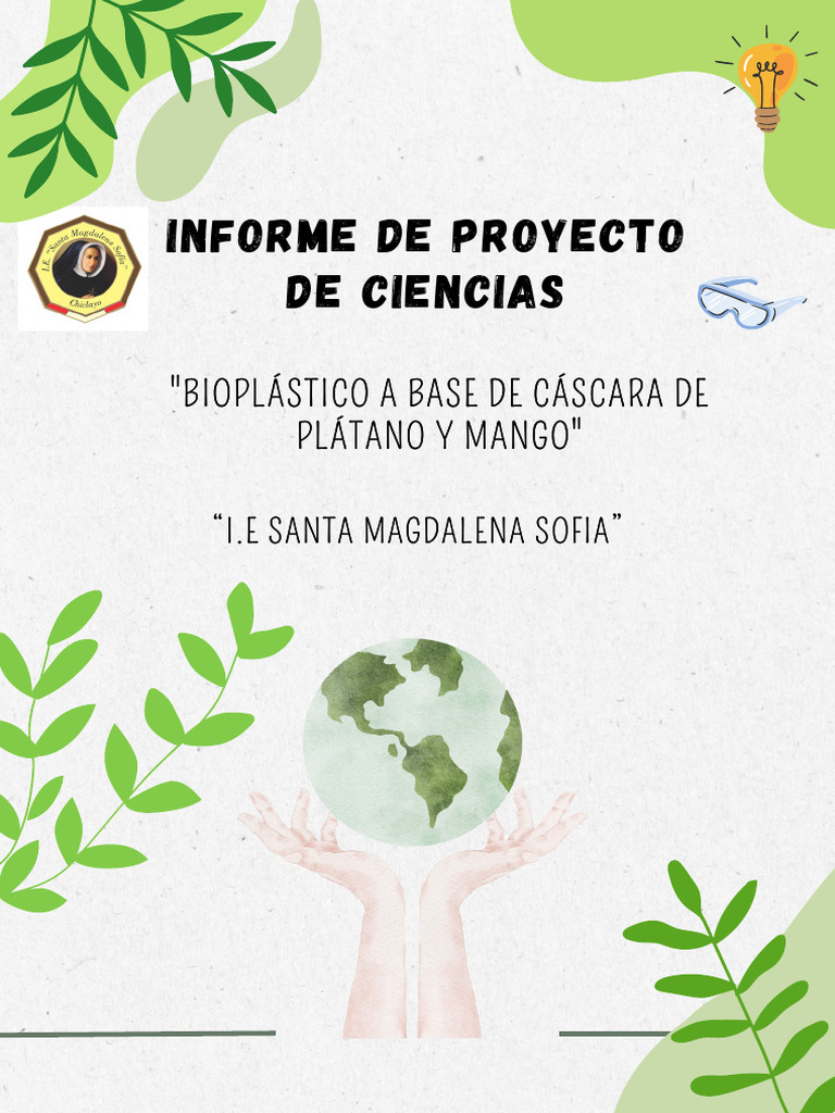 Informe Proyecto de Cyt | PDF | El plastico | Materiales