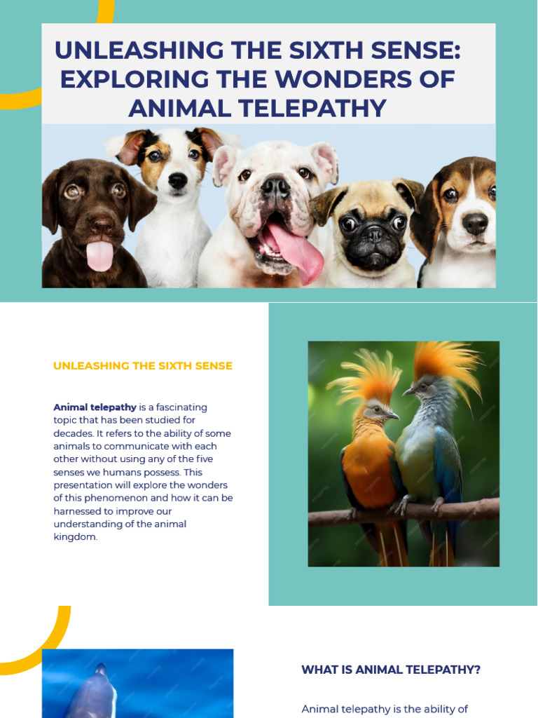 Animal Telepathy To Communicate With Animals | PDF