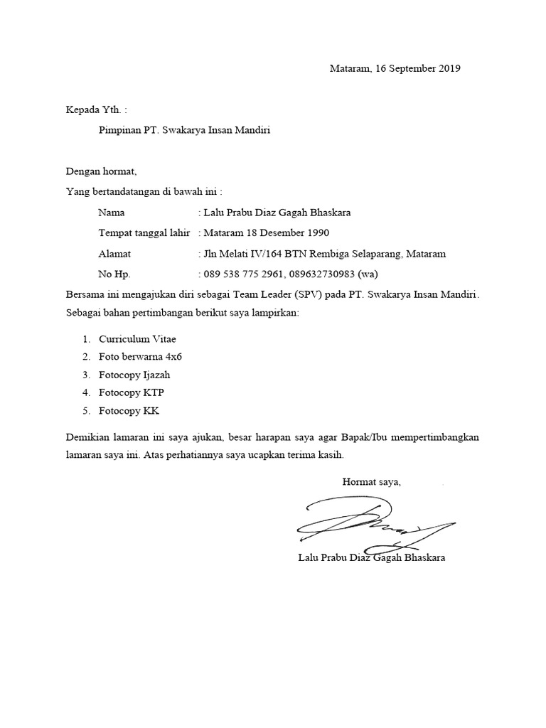 Lamaran Diaz Team Leader | PDF