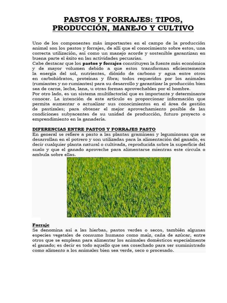 Pastos y Forrajes | PDF