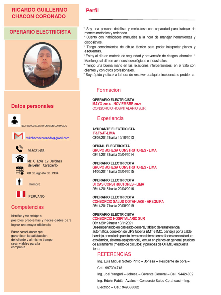 Ricardo Chacon Currículum | PDF | Ingeniería