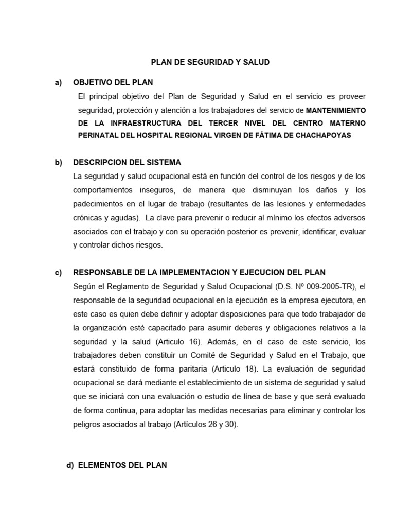 Plan de Seguridad y Salud | PDF | Seguridad y salud ocupacional | Valores