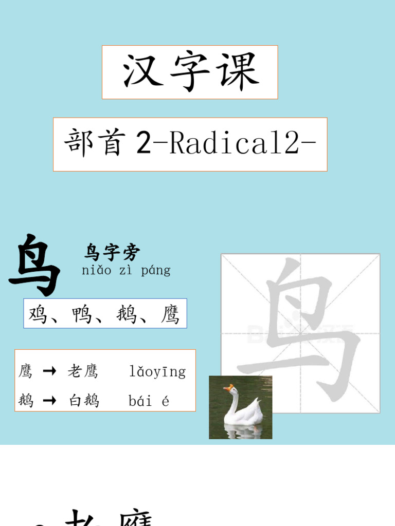 Hanzi Radical 2 | PDF
