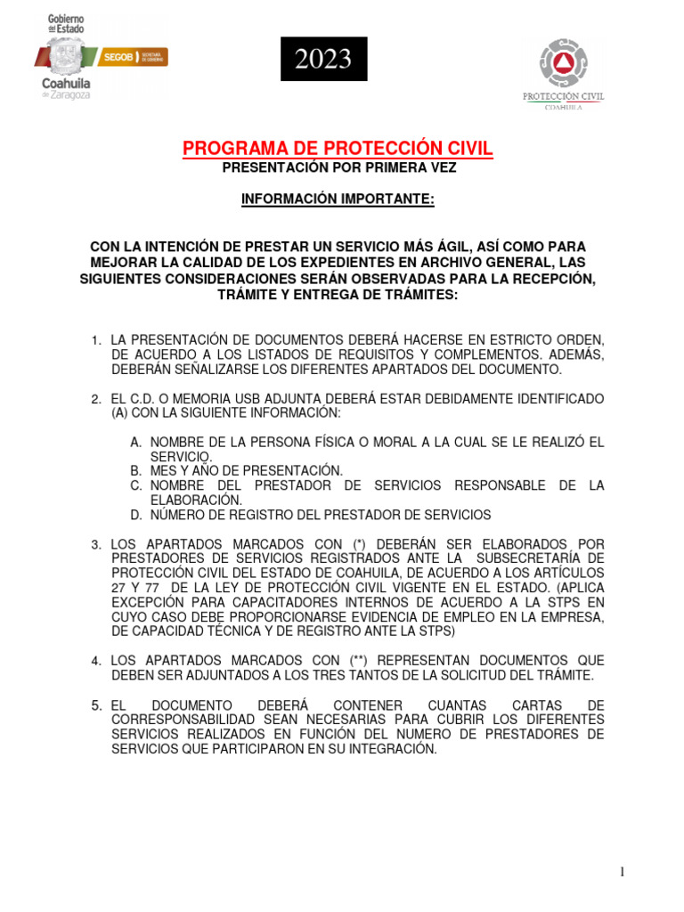 2023 Formato PPC Primera Vez | PDF