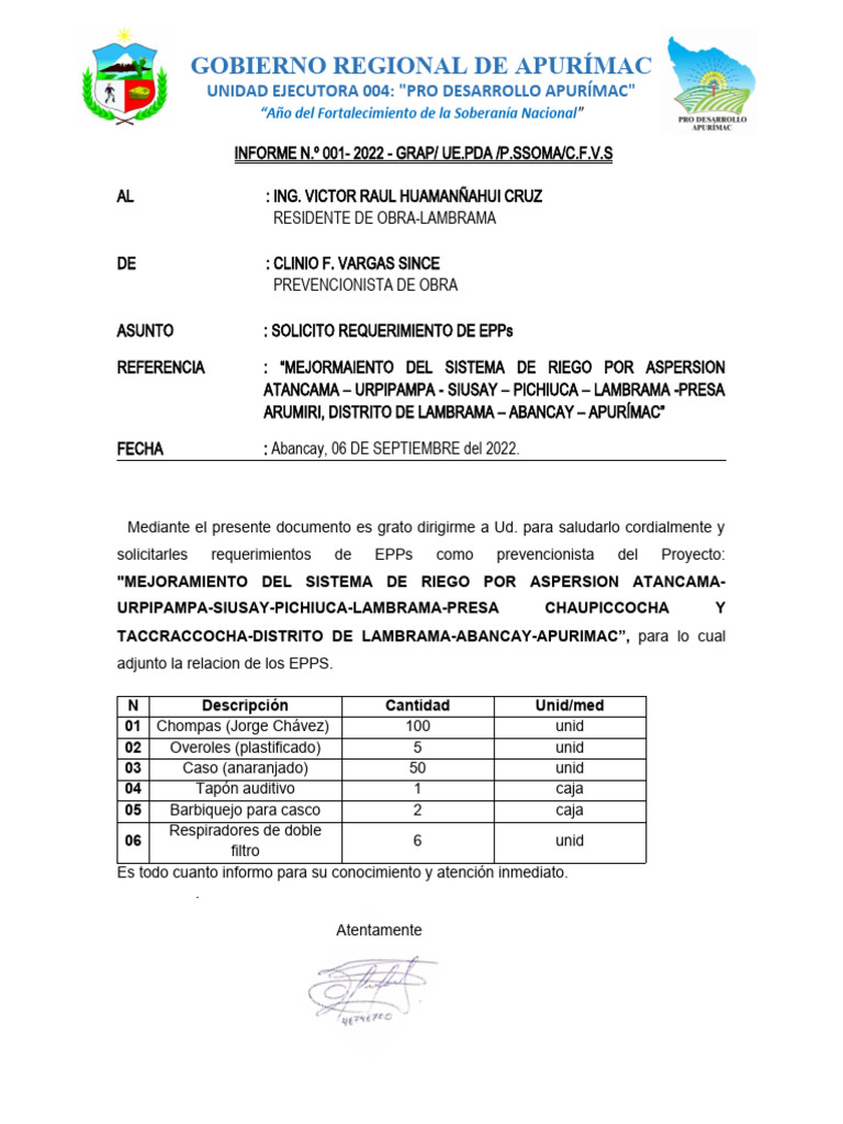 Requerimientos de EPPs | PDF