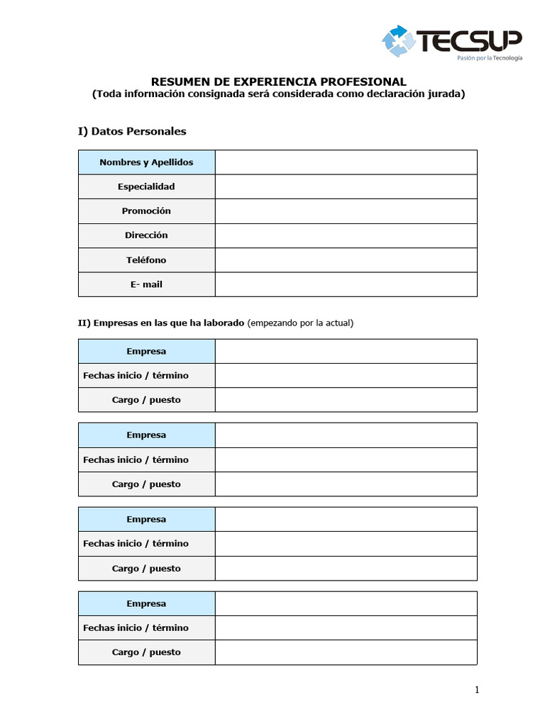 Resumen de Experiencia Profesional | PDF