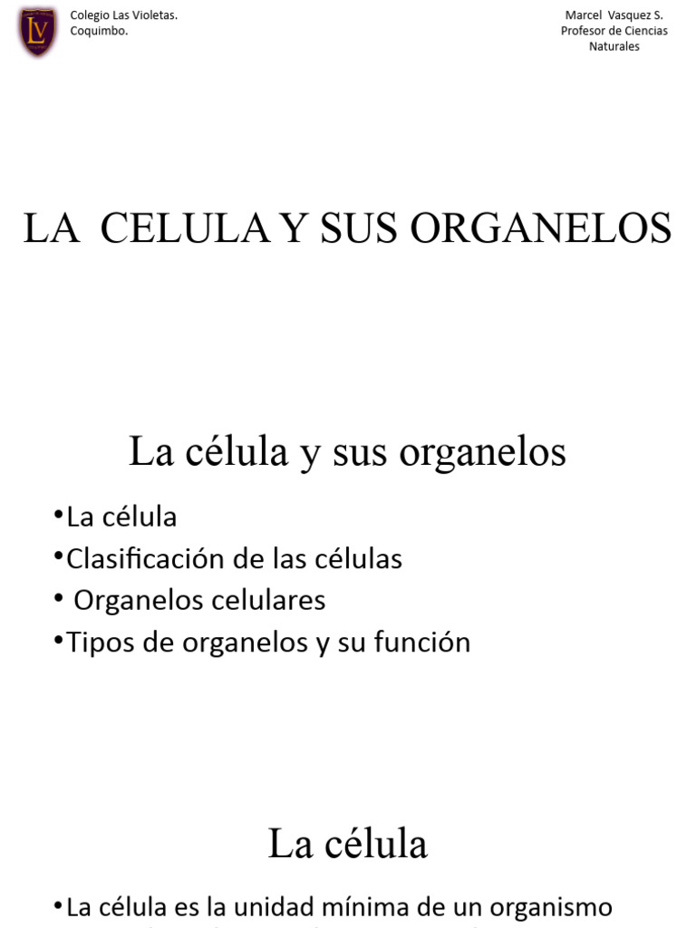 La Celula y Sus Organelos | PDF | Biología Celular) | Citoplasma