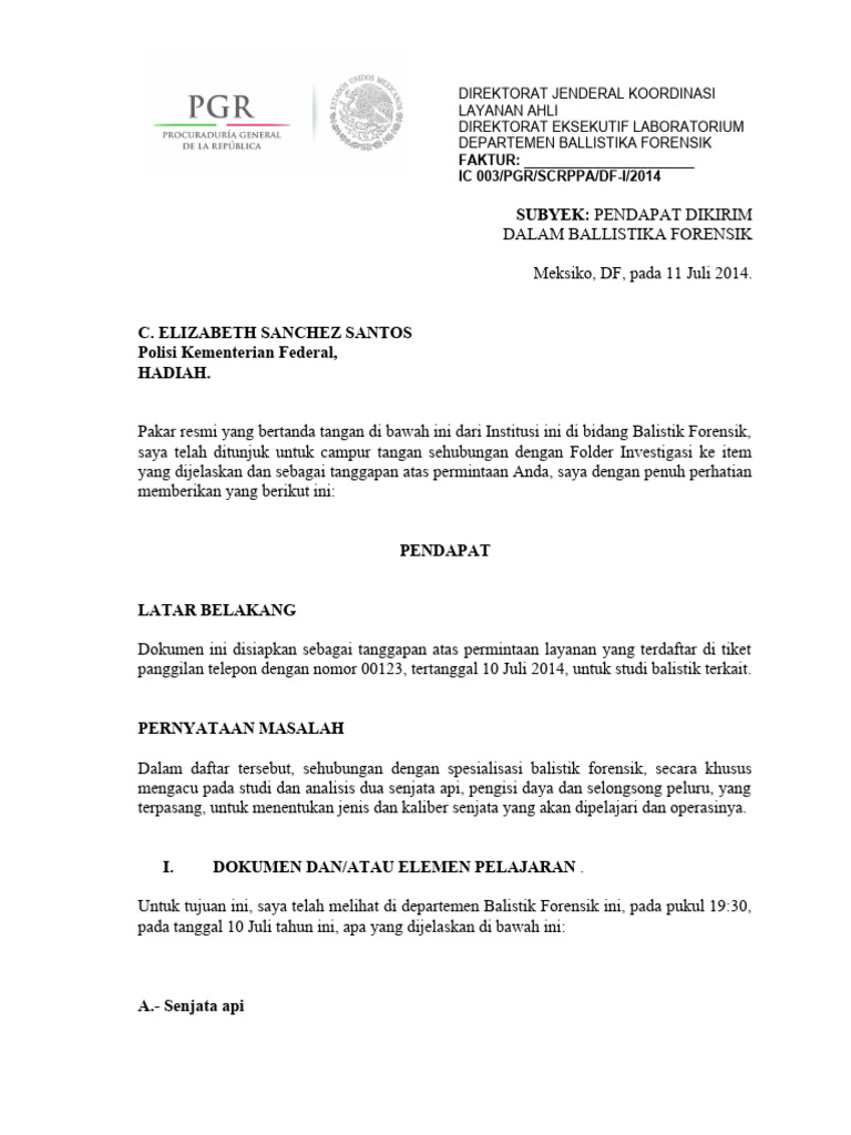 Contoh Pendapat Balistik | PDF