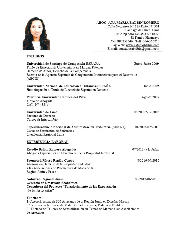 Ejemplo de CV | PDF | Perú | Business