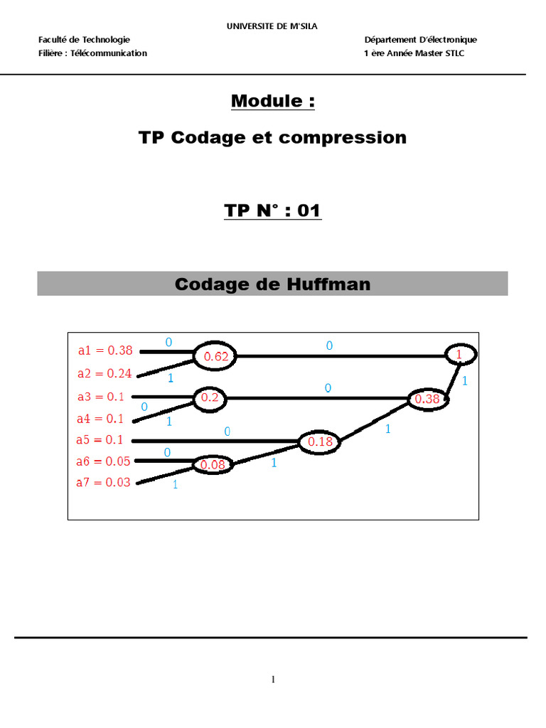 TP - N01 Codage Du Huffman | PDF