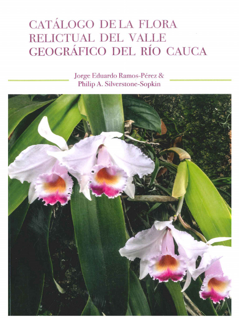 Ramos Perez Silverstone Sopkin 2018 Catalogo de La Flora Relictual Ocr ...