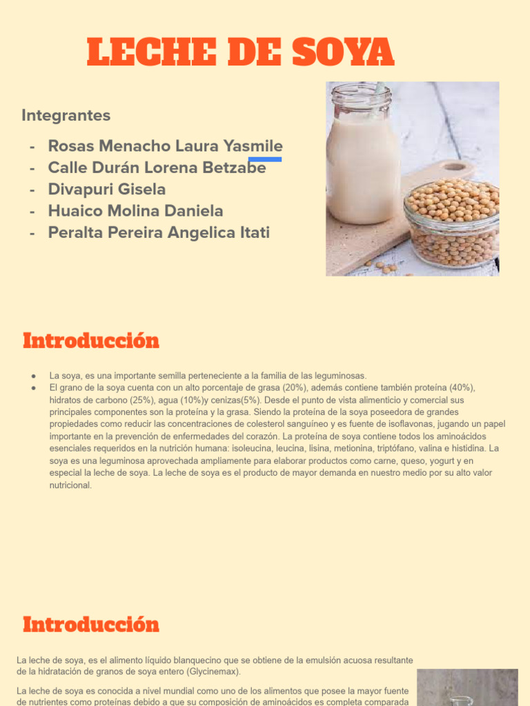Leche de Soya | PDF | Haba de soja | Leche