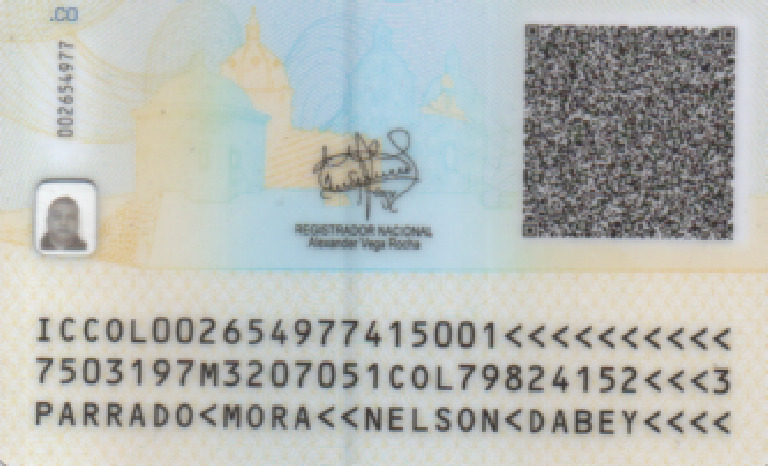 Cedula Nelson 2 | PDF