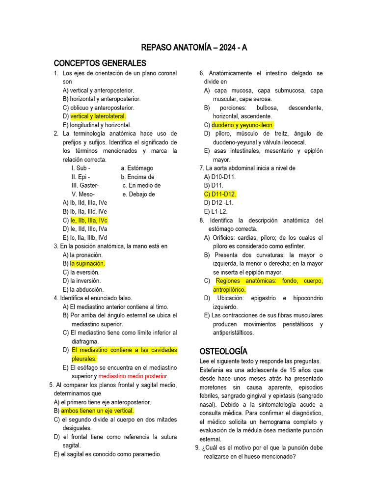 Repaso Anatomía 2024 Pdf Estómago Intestino Delgado