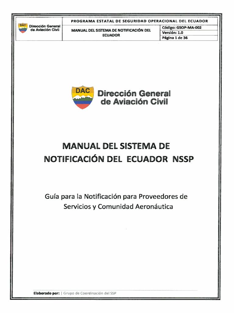 Manual Sistema NSSP | PDF