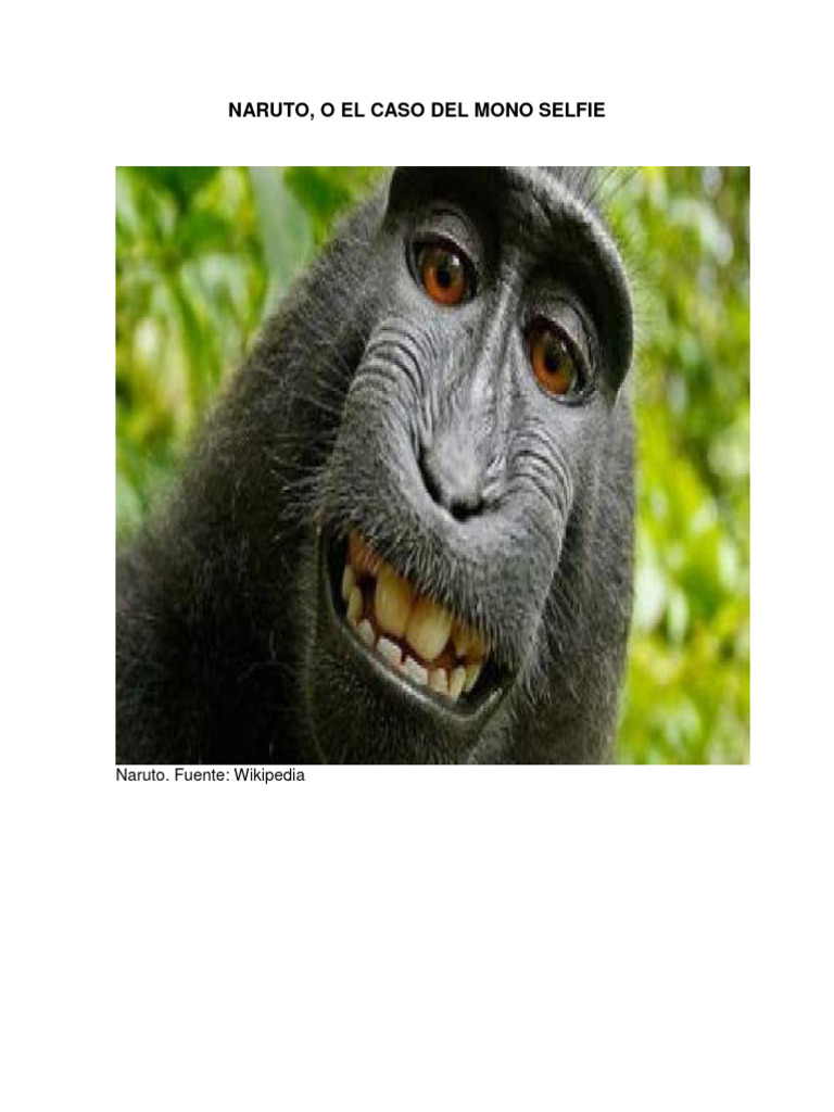 NARUTO o el caso del mono selfie-3 | PDF | Selfie | Wikipedia