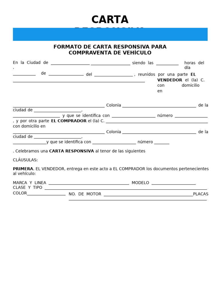 Formato de Carta Responsiva Vehicular | PDF