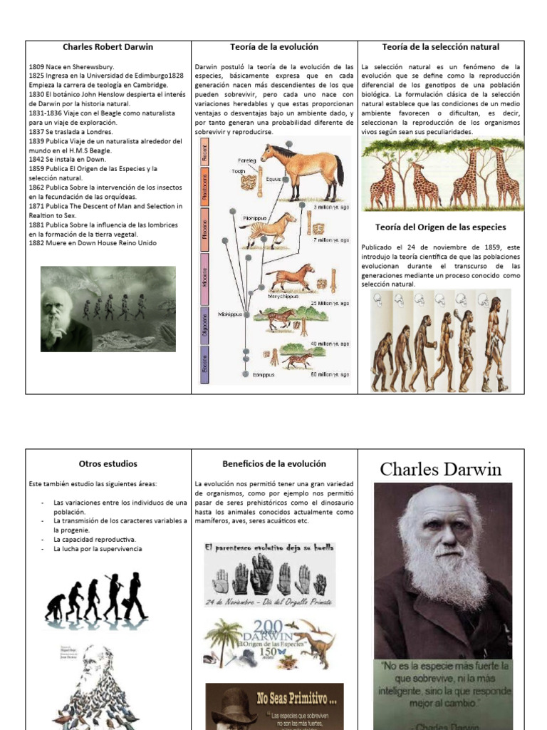 Charles Robert Darwin Triptico | PDF | Evolución | Charles Darwin