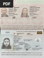 Dni David en Color | PDF