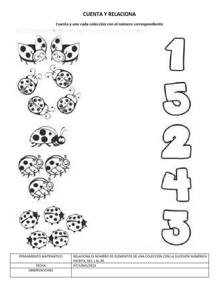 Cuenta y Relaciona Insectos | PDF