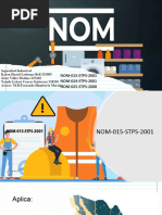 Norma 024 STPS 2001 | PDF