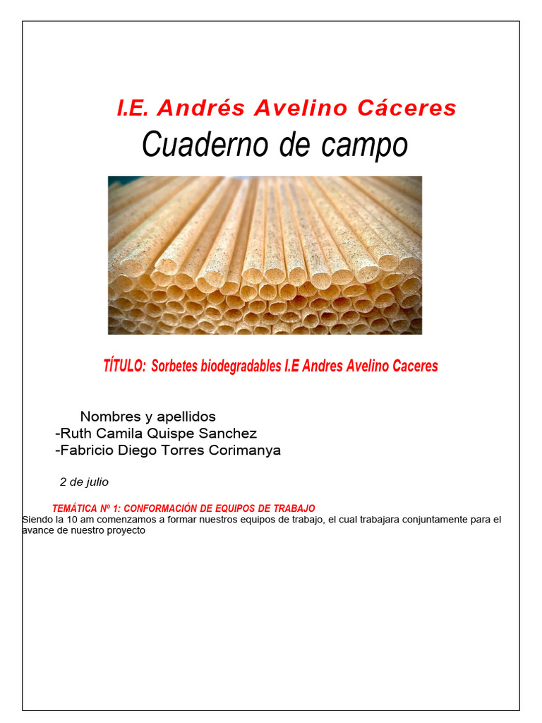 6. CUADERNO DE CAMPO eureka | PDF | VIH / SIDA | VIH