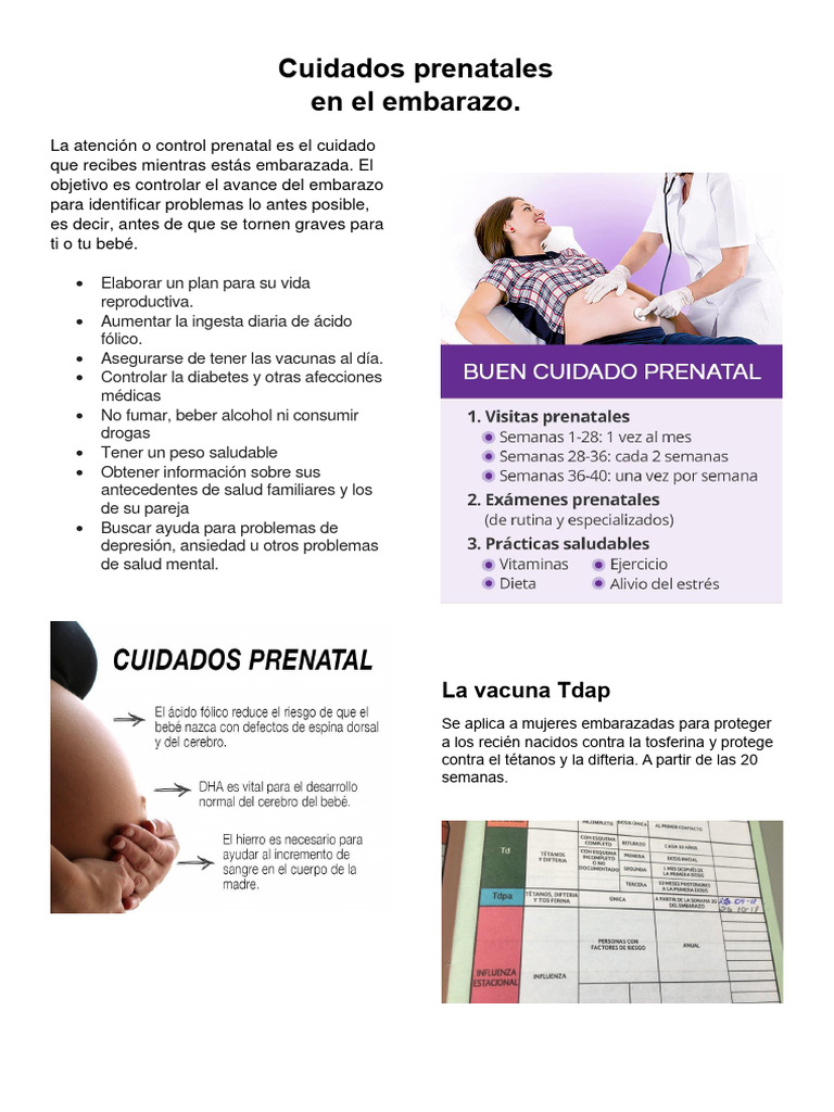 Cuidados prenatales en el embarazo | PDF