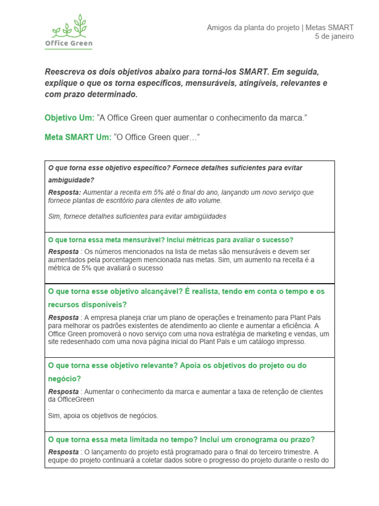 Atividade Definir e Determinar As Metas Do Projeto SMART | PDF ...
