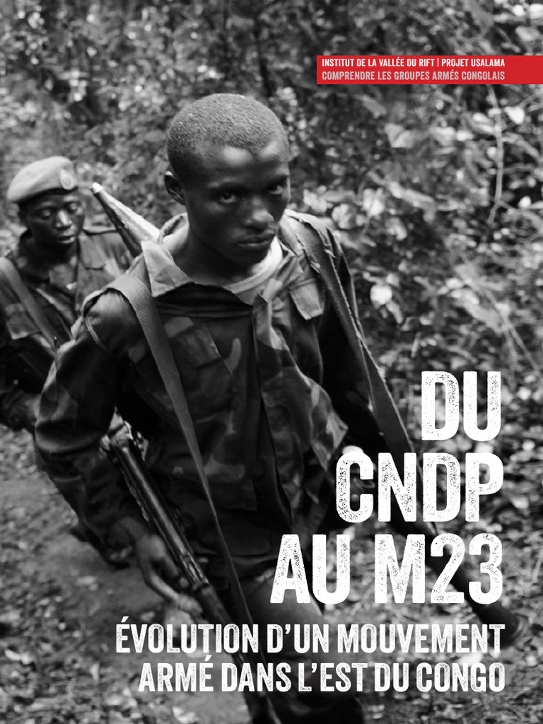 RVI Projet Usalama - CNDP - FR | PDF | Rwanda | République démocratique ...