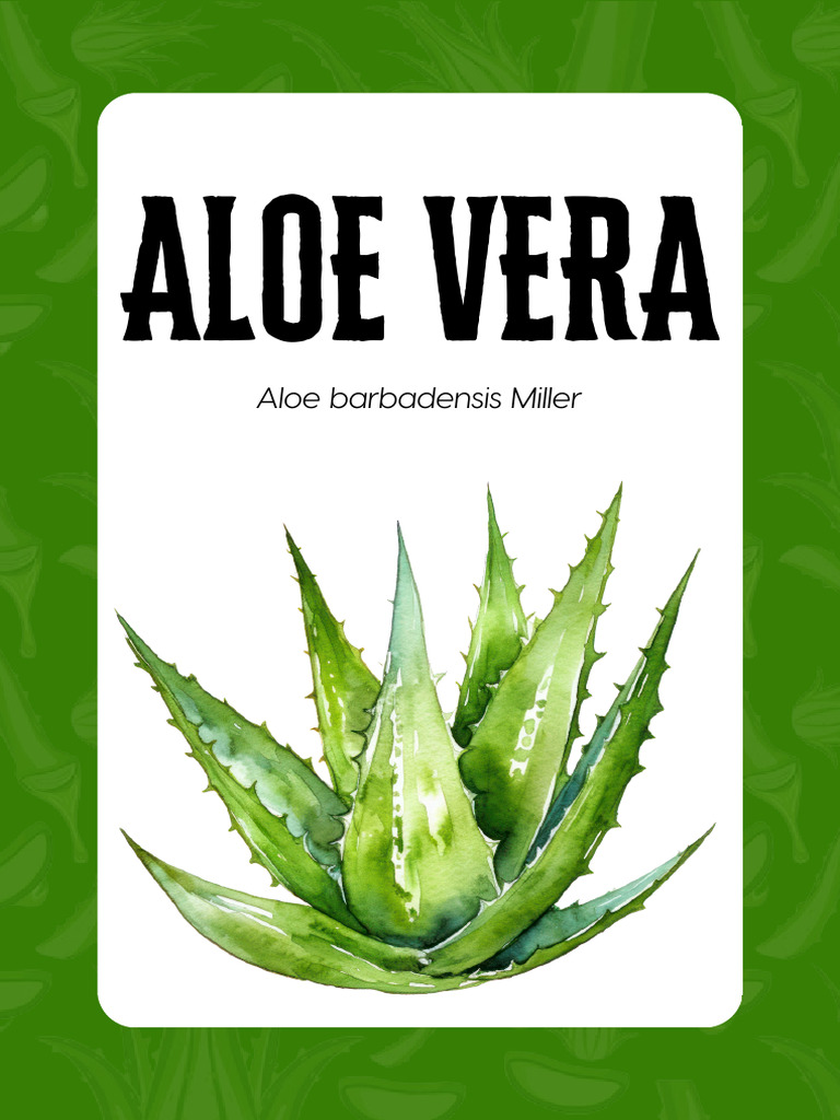Proyecto Aloe Vera | PDF