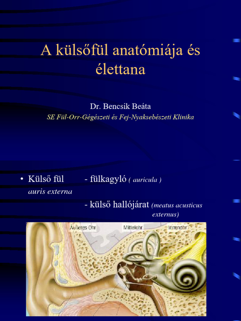 A Fülkagyló És Hallójárat Anatómiája Bencsik | PDF
