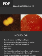 Interpretasi Hasil Pemeriksaan TCM | PDF