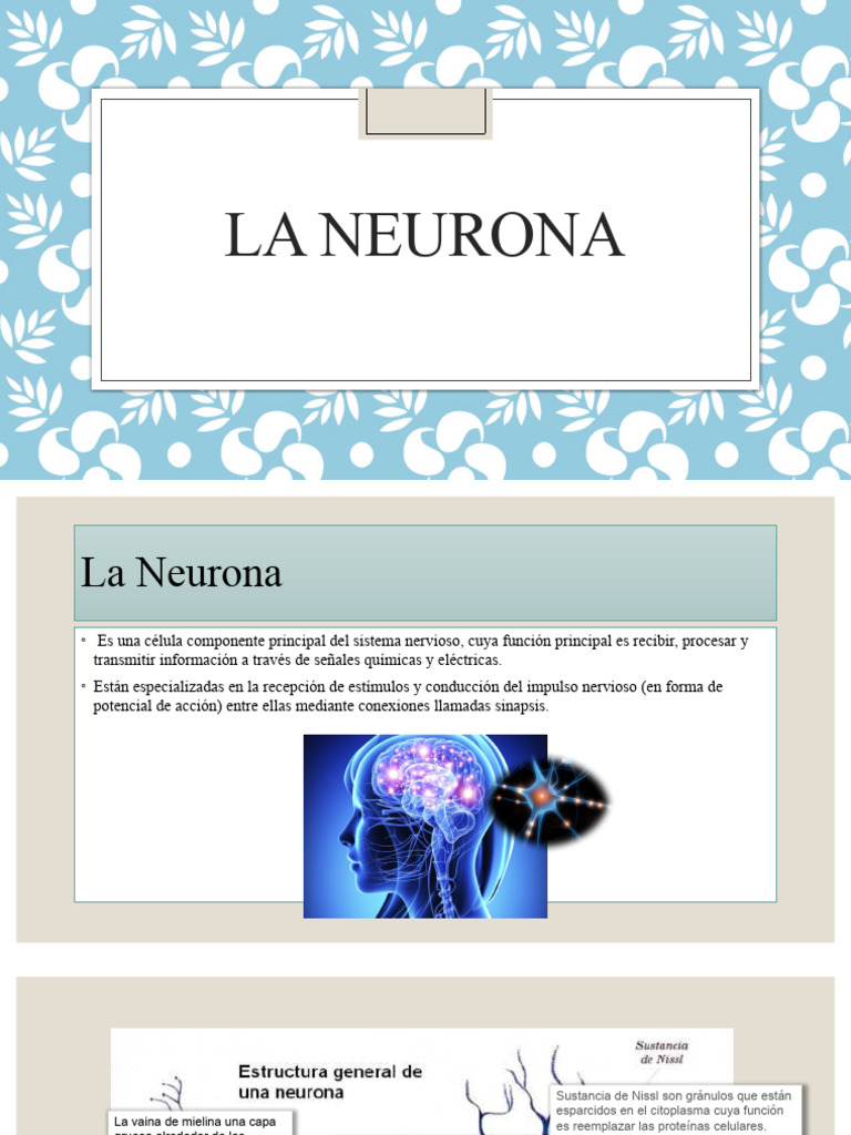 Funcionamiento de las Neuronas | PDF