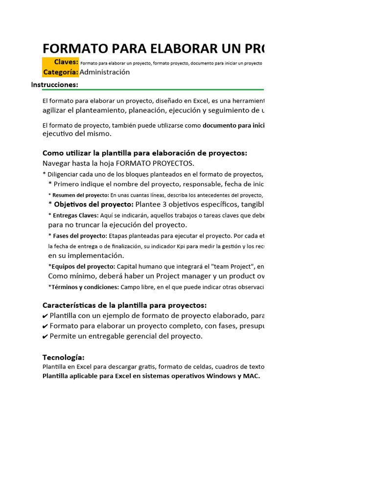 Formato para Elaborar Proyectos en Excel | PDF | Marketing | Gestión de ...