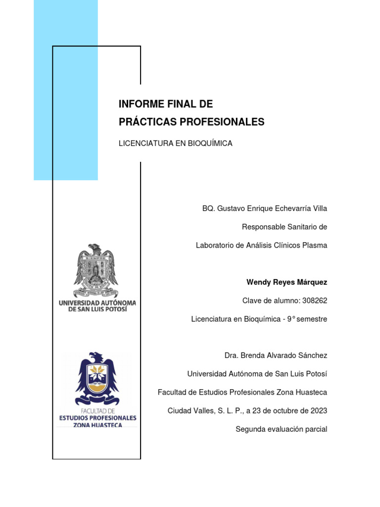 Reporte Final - WRM - FPP5 | PDF