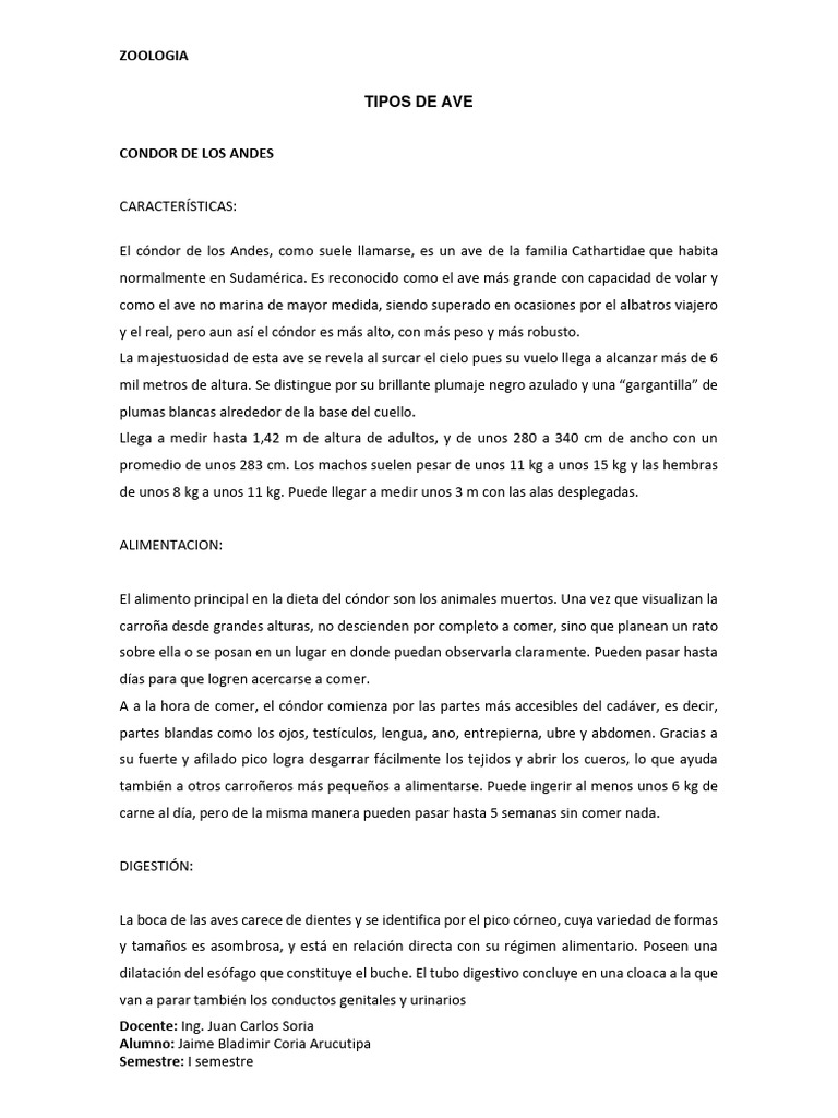 Tipos de Aves | PDF | Aves | Huevo