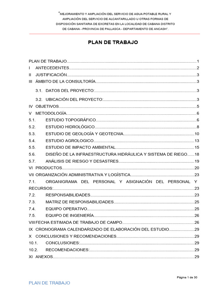 Plan De Trabajo Pdf
