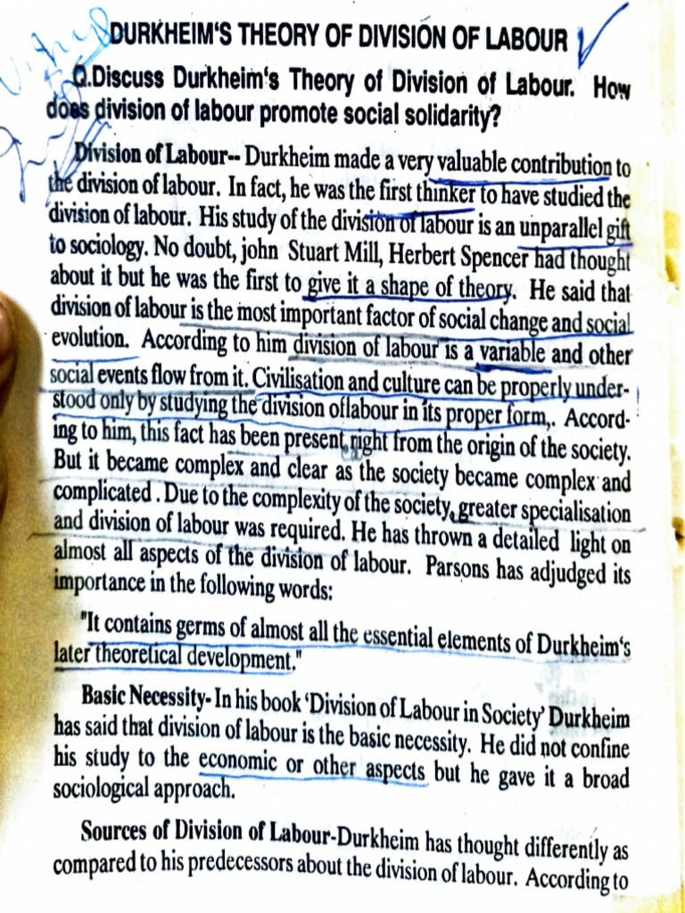 Durkheim's Theory of Division of Labour | PDF | Émile Durkheim ...