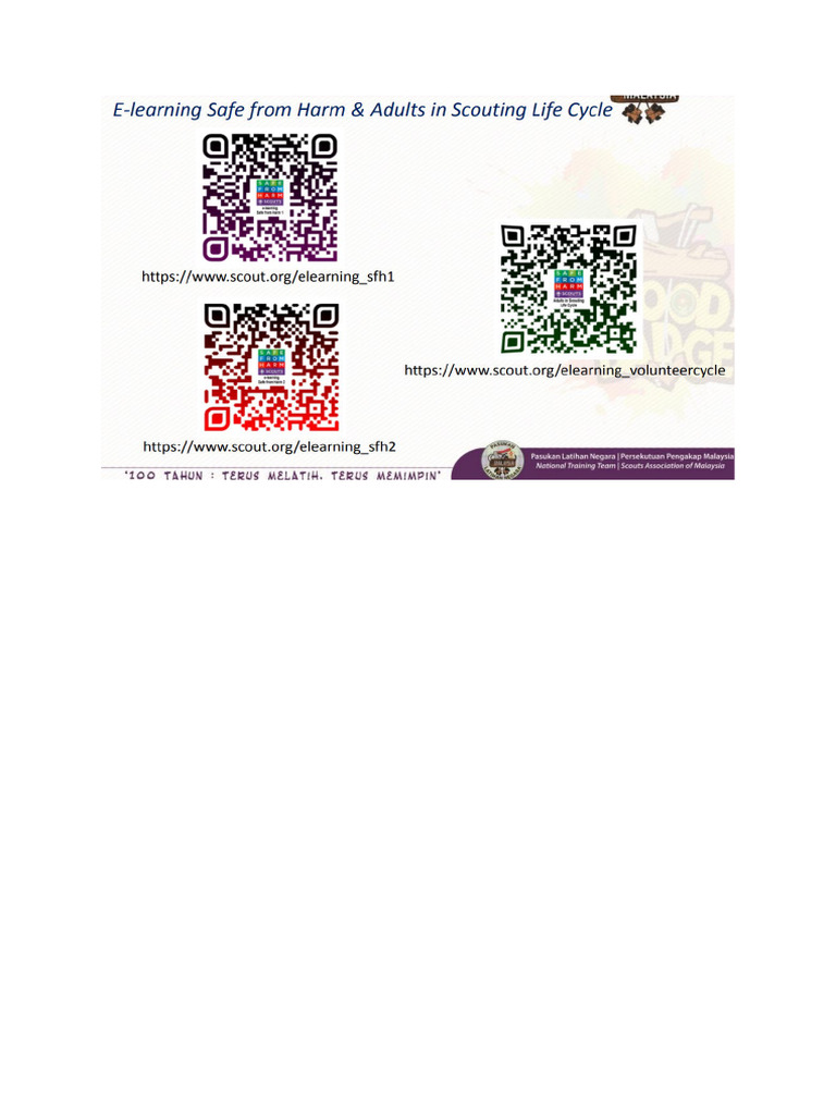 SFH Quiz Qrcode | PDF