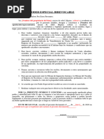 Carta - Poder Inces | PDF | Documento de identidad | Gobierno