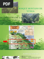 Impacto Ambiental - Ecosistema - Sabana Humeda de Palmeras | PDF ...