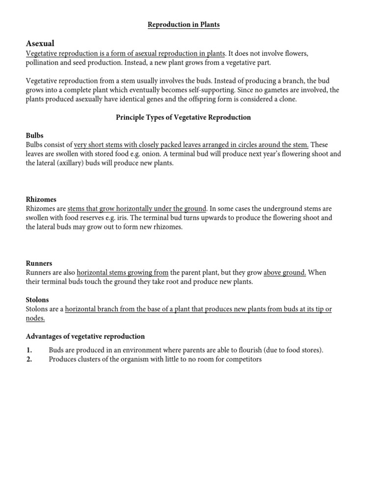 Plant Reproduction Basics | PDF | Science & Mathematics