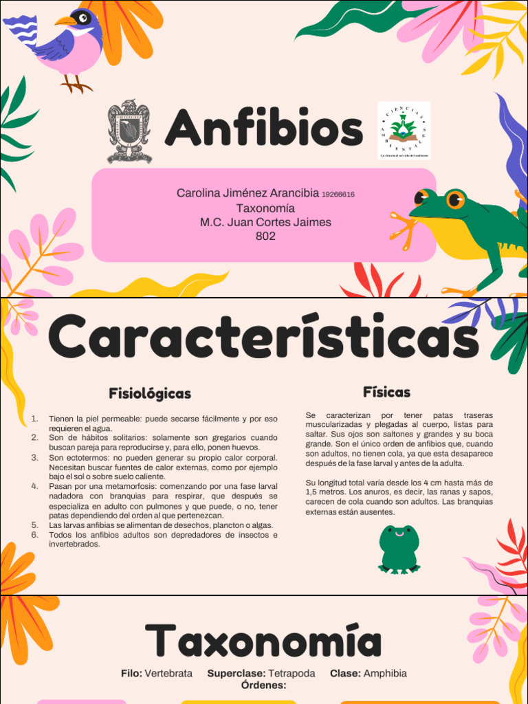 expo anfibios | PDF | Anfibio | Rana