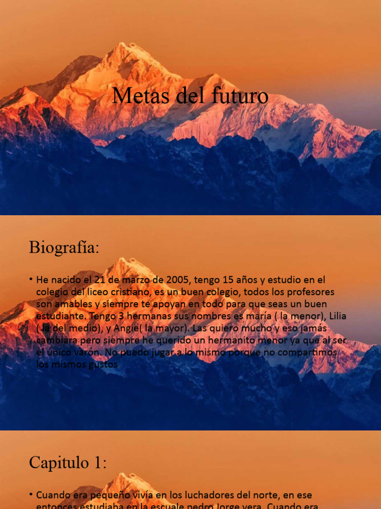 Metas Del Futuro | PDF