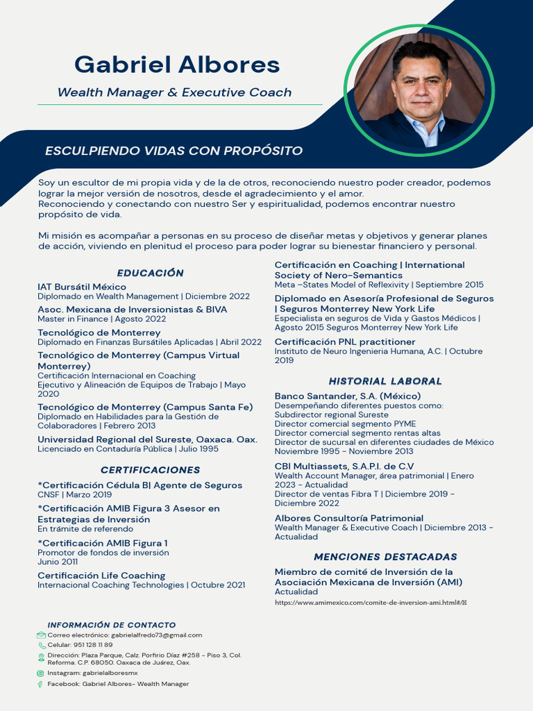 Gabriel Albores Hoja de Vida | PDF | Business | Industrias de servicio