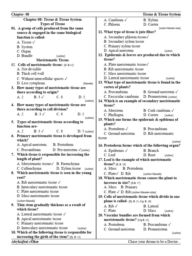 Chapter 08 53 | PDF | Tissue (Biology) | Plant Stem Chapter 08 53 | PDF | Tissue (Biology) | Plant Stem