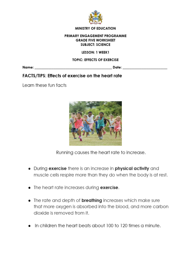 Grade 5 Science Weeks 1-4 Worksheets - Term 1 | PDF | Excretion ...