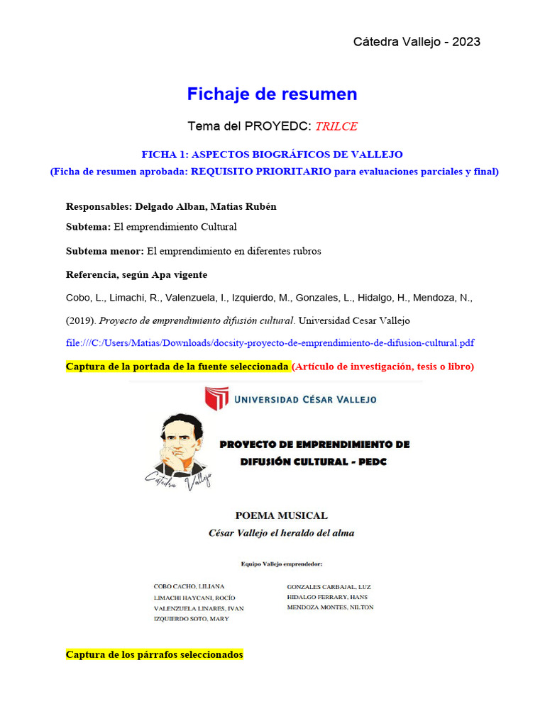 S1-S3 - Formato de La Ficha de Resumen - 2023 II | PDF